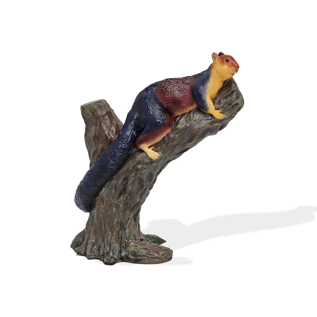 Malabar Giant Squirrel - MemoryTrain Creatives Private Limited